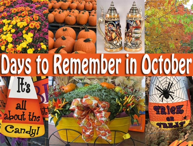 Welcome to Van Bourgondien Nursery!