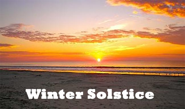 Welcome to Van Bourgondien Nursery!