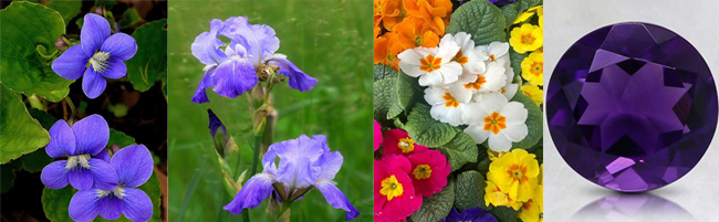 Welcome to Van Bourgondien Nursery!