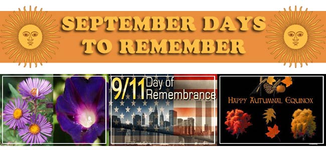 Welcome to Van Bourgondien Nursery!